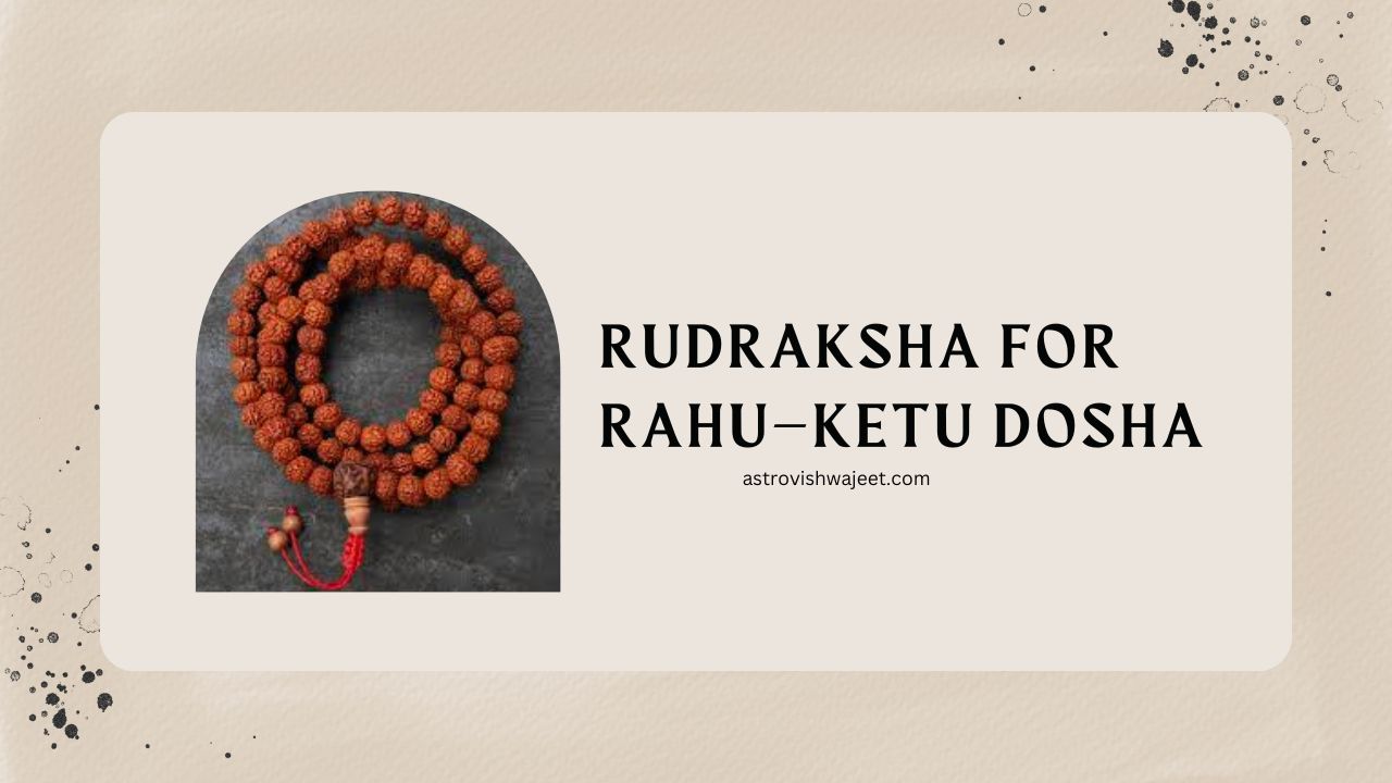 Rudraksha For Rahu–Ketu Dosha – Astrovishwajeet